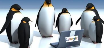 Everything to learn about Google Penguin Algorithm Update * BIG BIG SEO ...